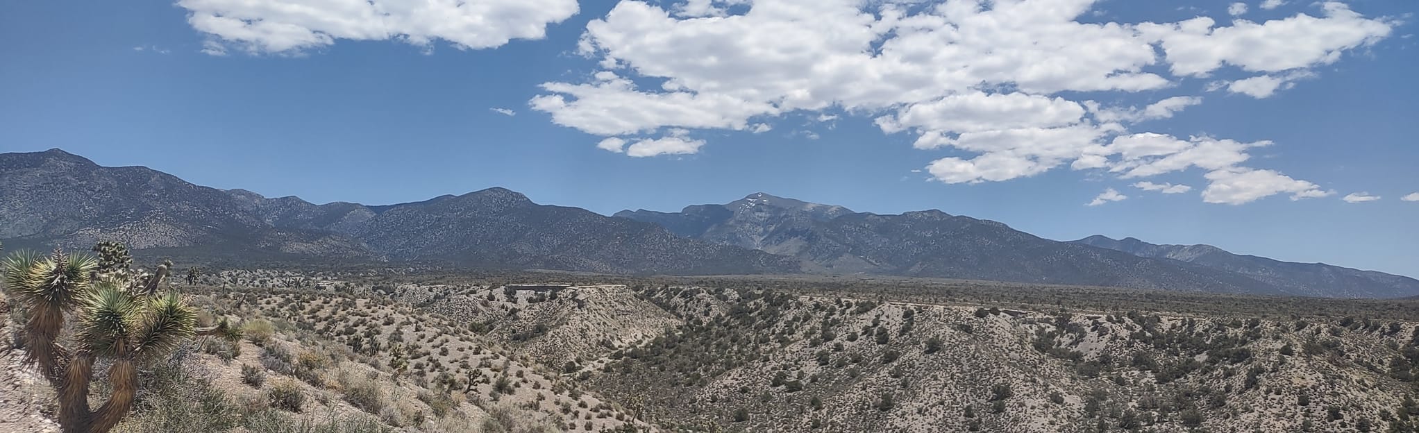 Wheeler Pass OHV Trail, Nevada - 197 Reviews, Map | AllTrails