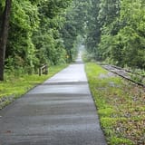 Maybrook Trailway, New York - 292 Reviews, Map | AllTrails
