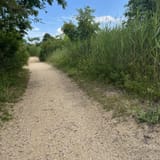 Cross Island Trail: Kent Narrows to Terrapin Nature Park, Maryland ...