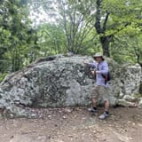 Bench Trail, Arkansas - 530 Reviews, Map | AllTrails