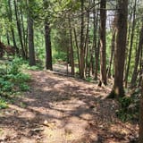 Carlton and Thomson Trail Loop, Minnesota - 561 Reviews, Map | AllTrails