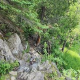 Carlton and Thomson Trail Loop, Minnesota - 561 Reviews, Map | AllTrails