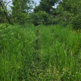 Carlton and Thomson Trail Loop, Minnesota - 561 Reviews, Map | AllTrails