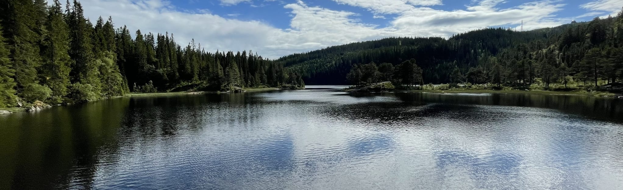 Bike Tour through Bymarka on old Bynesveier: 5 Reviews, Map - Trøndelag ...
