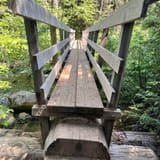 Timothy Lake Loop, Oregon - 290 Reviews, Map | AllTrails