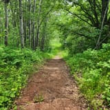 Carlton and Thomson Trail Loop, Minnesota - 561 Reviews, Map | AllTrails