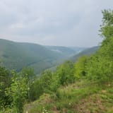 Black Forest North Loop Trail, Pennsylvania - 223 Reviews, Map | AllTrails