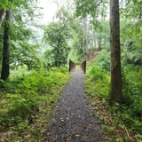Black Forest North Loop Trail, Pennsylvania - 223 Reviews, Map | AllTrails