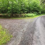 Black Forest North Loop Trail, Pennsylvania - 223 Reviews, Map | AllTrails