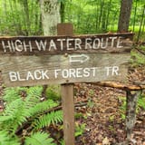 Black Forest North Loop Trail, Pennsylvania - 300 Reviews, Map | AllTrails