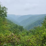 Black Forest North Loop Trail, Pennsylvania - 300 Reviews, Map | AllTrails