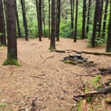 Black Forest North Loop Trail, Pennsylvania - 300 Reviews, Map | AllTrails