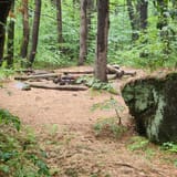 Black Forest North Loop Trail, Pennsylvania - 300 Reviews, Map | AllTrails