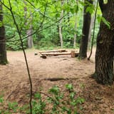 Black Forest North Loop Trail, Pennsylvania - 300 Reviews, Map | AllTrails