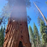 Guardians Loop Trail, California - 31 Reviews, Map | AllTrails