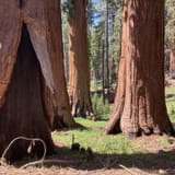 Guardians Loop Trail, California - 31 Reviews, Map | AllTrails