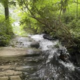 The Blue Ridge Escarpment, North Carolina - 159 Reviews, Map | AllTrails