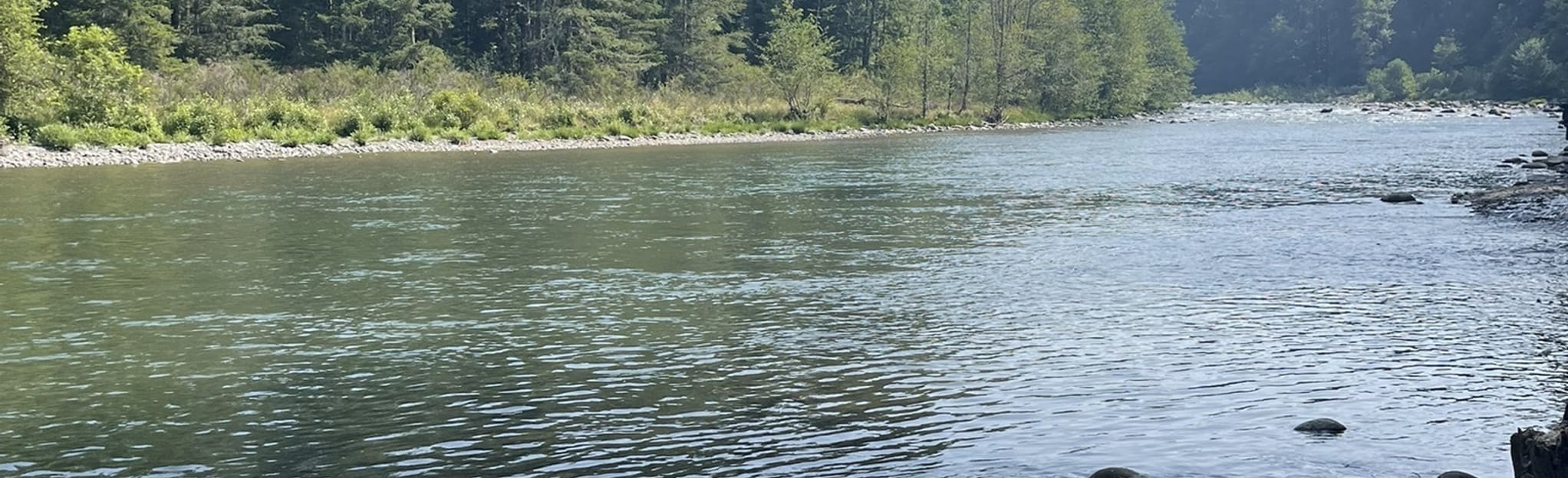 AllTrails | Sandy River Trail Loop: 121 Reviews, Map - Oregon