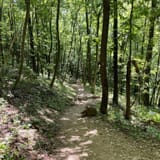 Jones Run Falls Trail, Virginia - 755 Reviews, Map | AllTrails