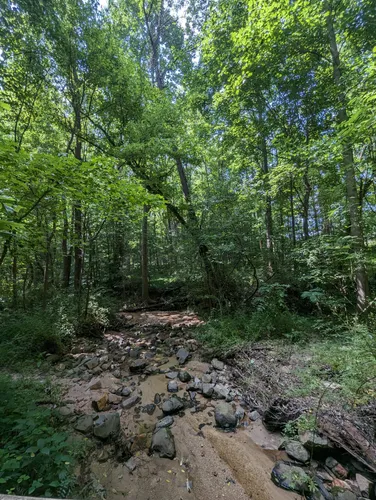 Best Hikes and Trails in Mazeppa Park | AllTrails