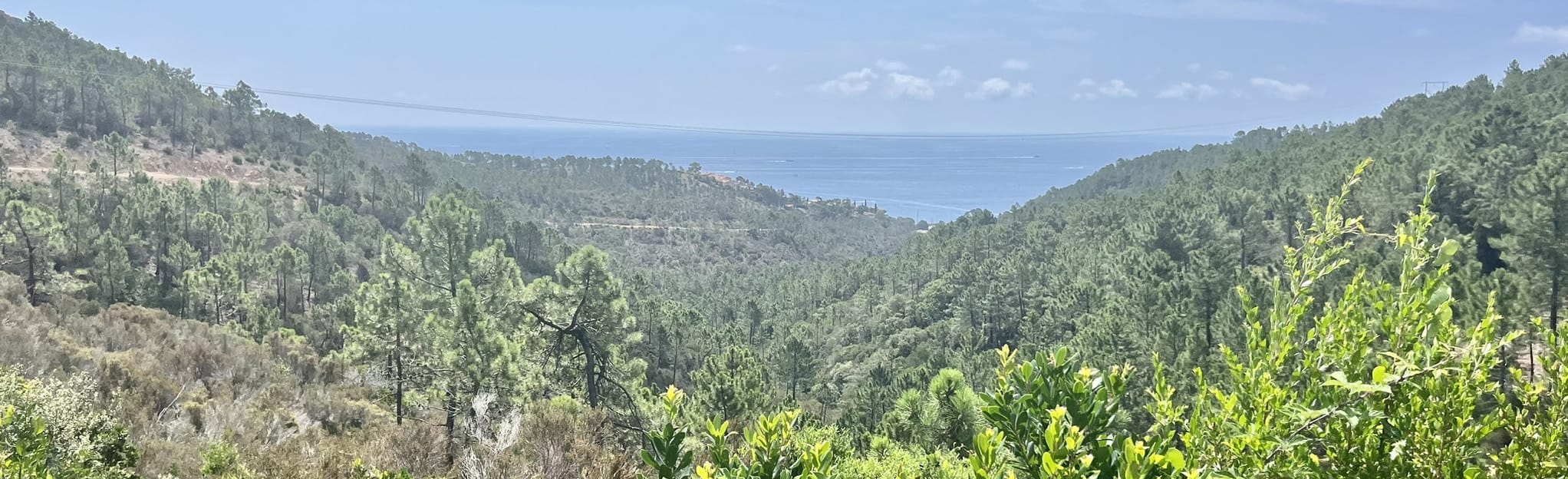 Col de Théoule : Piste du Soleil d'Or: 22 Reviews, Map - Alpes ...