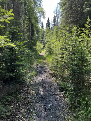 Best Hikes and Trails in Carson-Pegasus Provincial Park | AllTrails