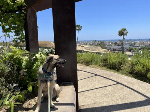 Best Hikes and Trails in Sunset Ridge Park | AllTrails