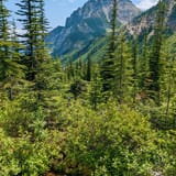 Gorman Lake Trail, British Columbia, Canada - 181 Reviews, Map | AllTrails
