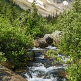 Gorman Lake Trail, British Columbia, Canada - 138 Reviews, Map | AllTrails