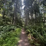 Hoypus Point Loop, Washington - 642 Reviews, Map | AllTrails