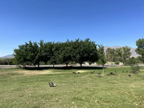 Best Hikes and Trails in Floyd Lamb Park | AllTrails