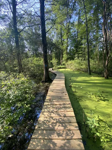 Best Hikes and Trails in Great Swamp Watershed Association | AllTrails