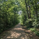 Sauk Rail Trail, Iowa - 52 Reviews, Map | AllTrails