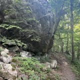Jones Run Falls Trail, Virginia - 759 Reviews, Map | AllTrails