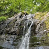 Jones Run Falls Trail, Virginia - 759 Reviews, Map | AllTrails