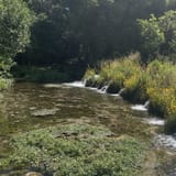 Cascade Springs Interpretive Trail, Utah - 425 Reviews, Map | AllTrails