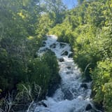 Cascade Springs Interpretive Trail, Utah - 425 Reviews, Map | AllTrails