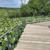 Reeds Lake Trail, Michigan - 834 Reviews, Map | AllTrails