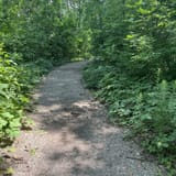 Reeds Lake Trail, Michigan - 834 Reviews, Map | AllTrails