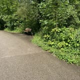 Reeds Lake Trail, Michigan - 834 Reviews, Map | AllTrails