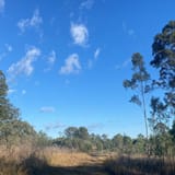 Wivenhoe Hill Red, White, and Blue Loop, Queensland, Australia - 71 ...