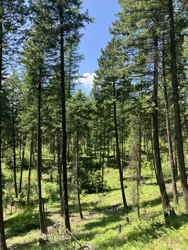 Best Hikes and Trails in Stillwater State Forest | AllTrails