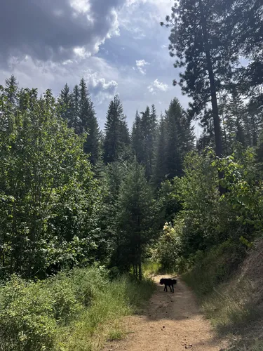 2023 Best Views Trails in Otis Orchards-East Farms | AllTrails