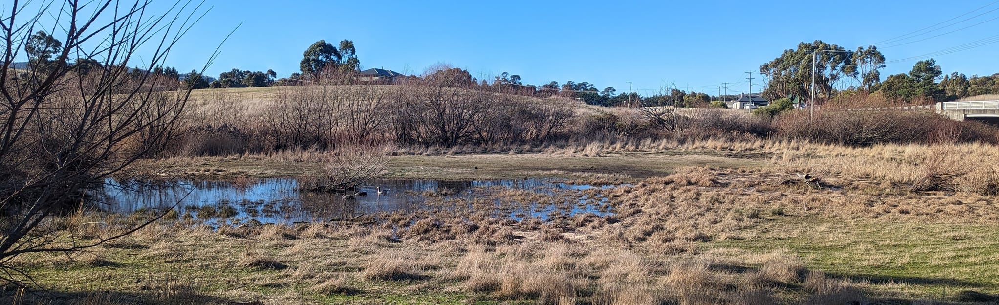 Jordan River Trail: 18 foto's - Tasmanië, Australië | Wandelen - AllTrails