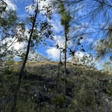 Jack Ferris Lookout via Trachyte Circuit, Queensland, Australia - 363 ...