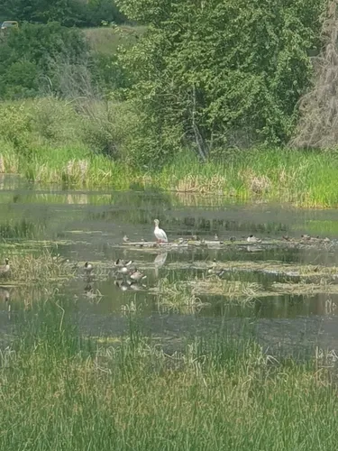 Best Hikes and Trails in Scout Island Nature Centre | AllTrails