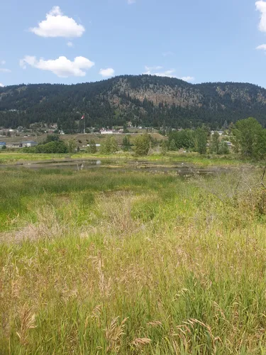 Best Hikes and Trails in Scout Island Nature Centre | AllTrails