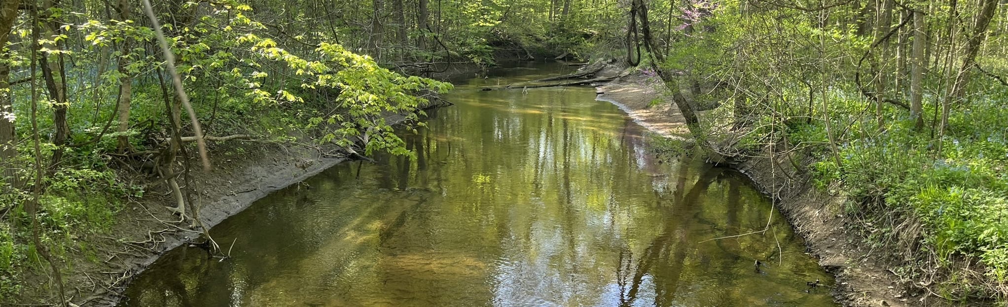 Aman Park Sand Creek Trail and Blue Loop, Michigan - 311 Reviews, Map ...