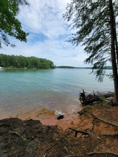 Beste wandelingen en routes in Little Ridge Park | AllTrails