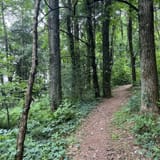 The Blue Ridge Escarpment, North Carolina - 159 Reviews, Map | AllTrails